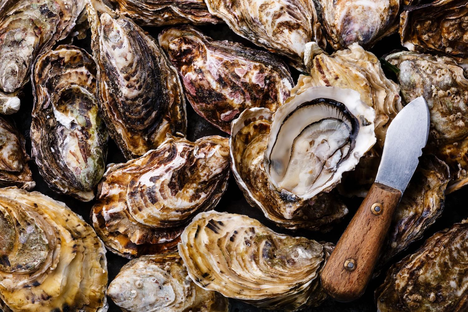 The History of San Francisco's Oyster Loaf - CrawlSF